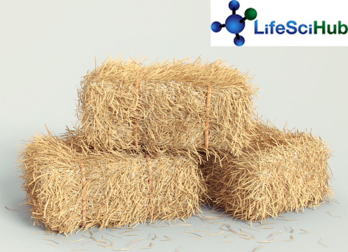 LifeSciHub Expert Network, Make Hay! - LifeSciHub Expert Marketplace